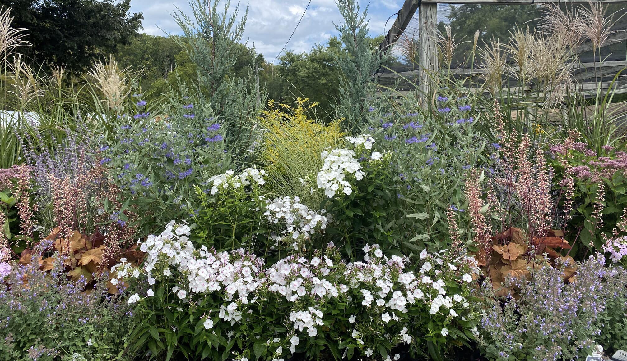 Kingsdene Nursery & Garden Center News & Tips