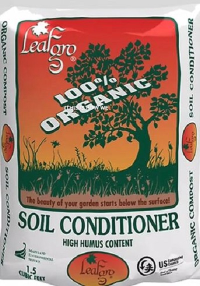 Kingsdene Nursery & Garden Center News & Tips